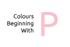 Colours Beginning with the Letter P | Face Media Group